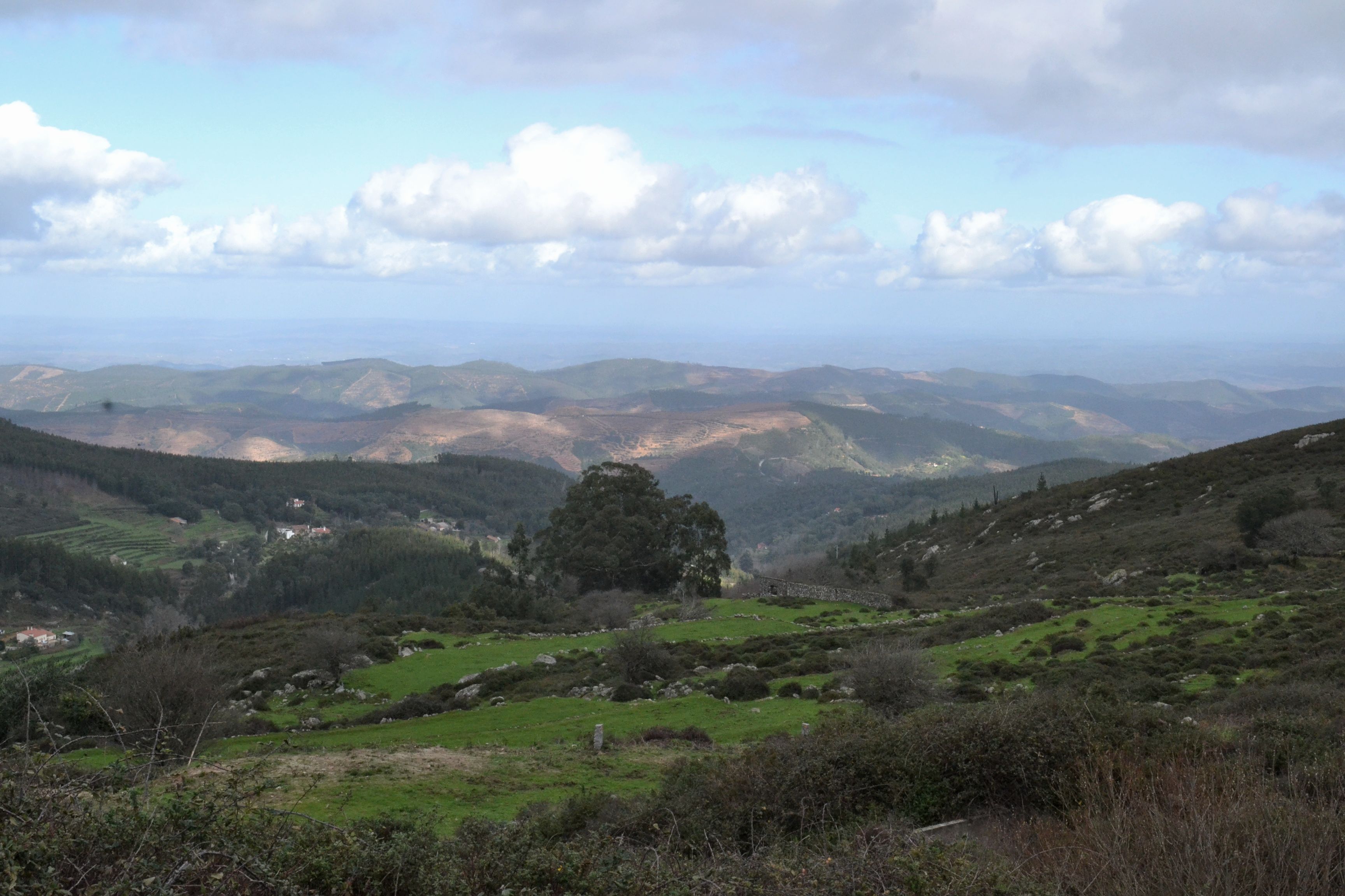 Mount Foia re-visited – 12 & 13th Jan – Ramblings and Scribblings