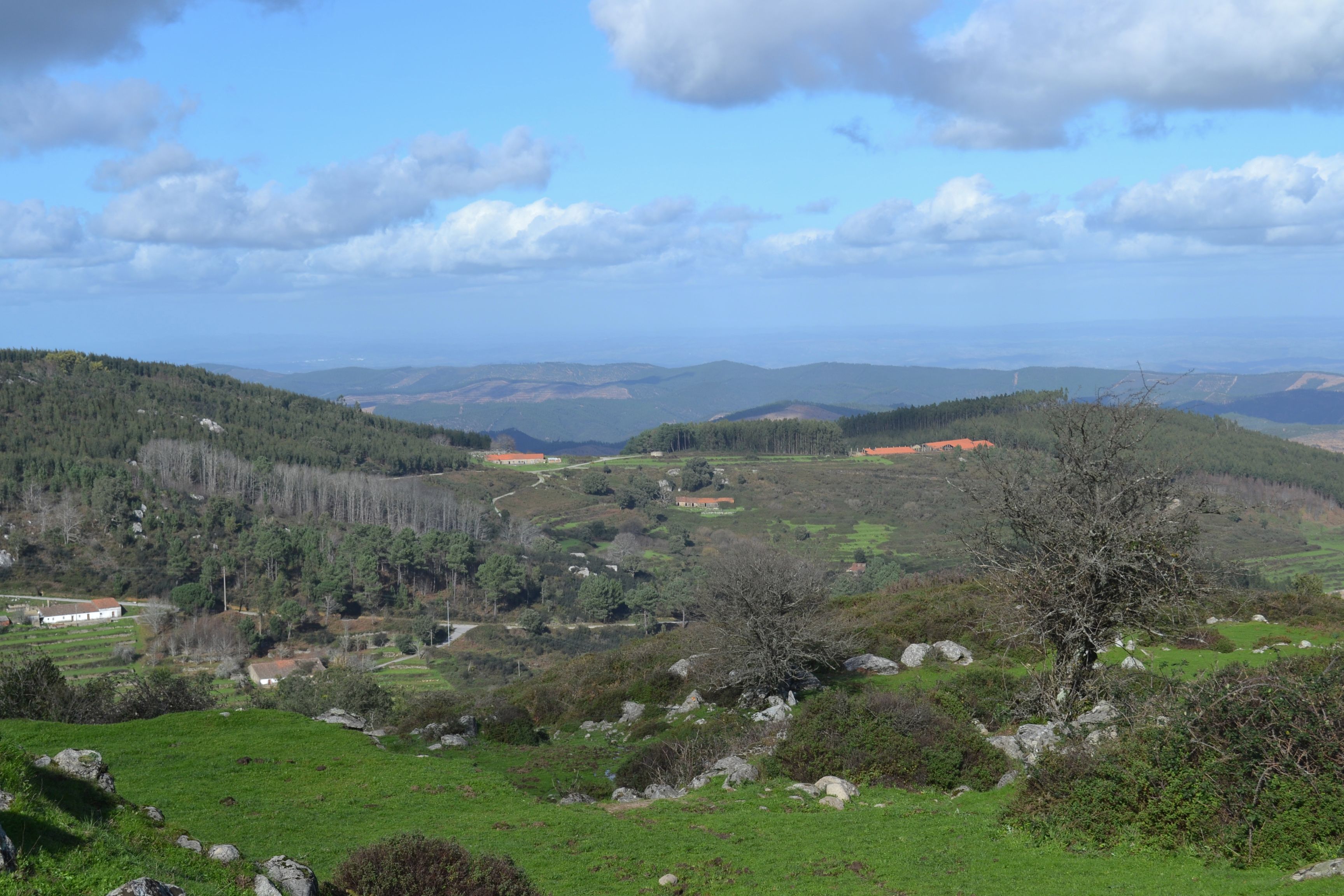 Mount Foia re-visited – 12 & 13th Jan – Ramblings and Scribblings