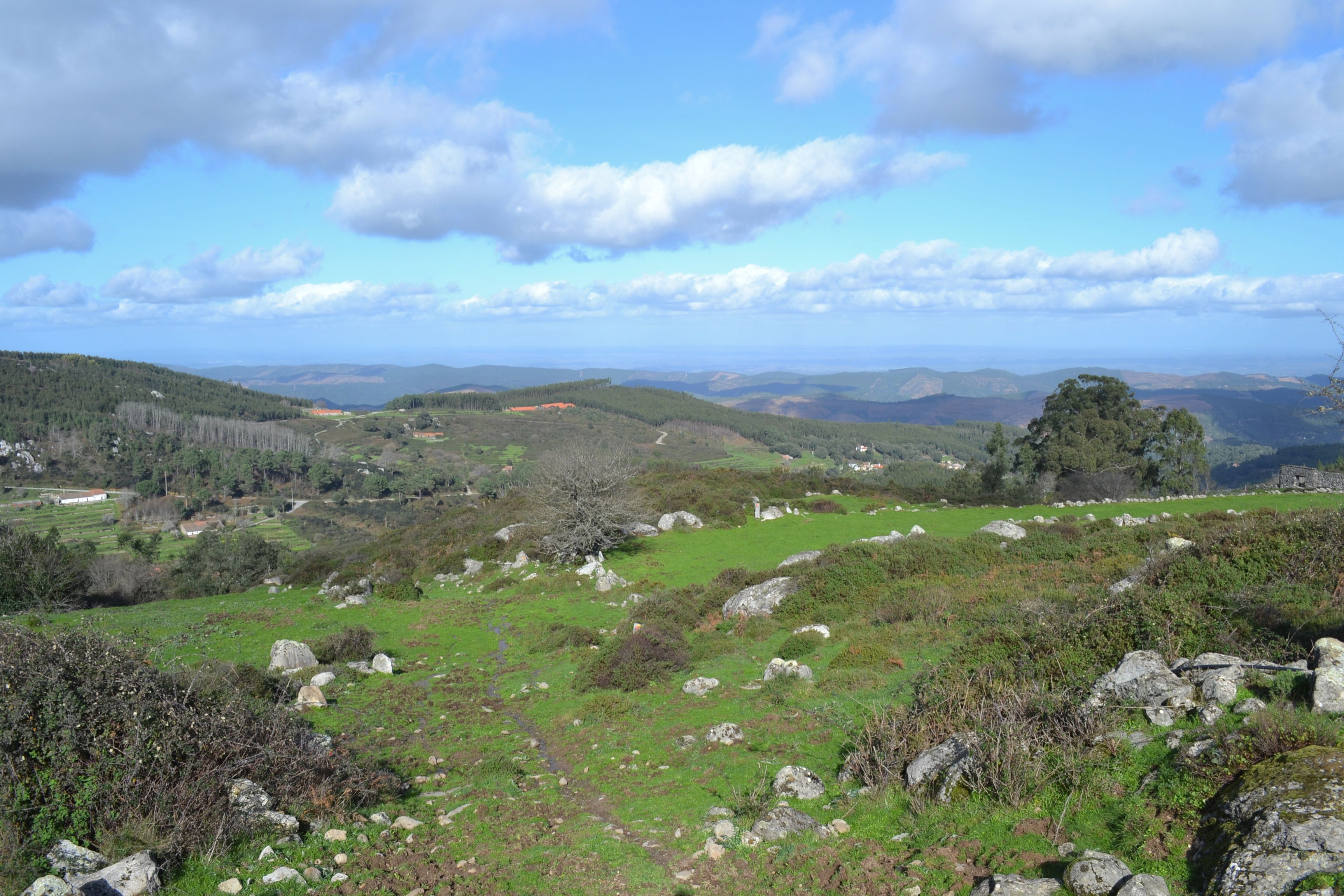 Mount Foia re-visited – 12 & 13th Jan – Ramblings and Scribblings