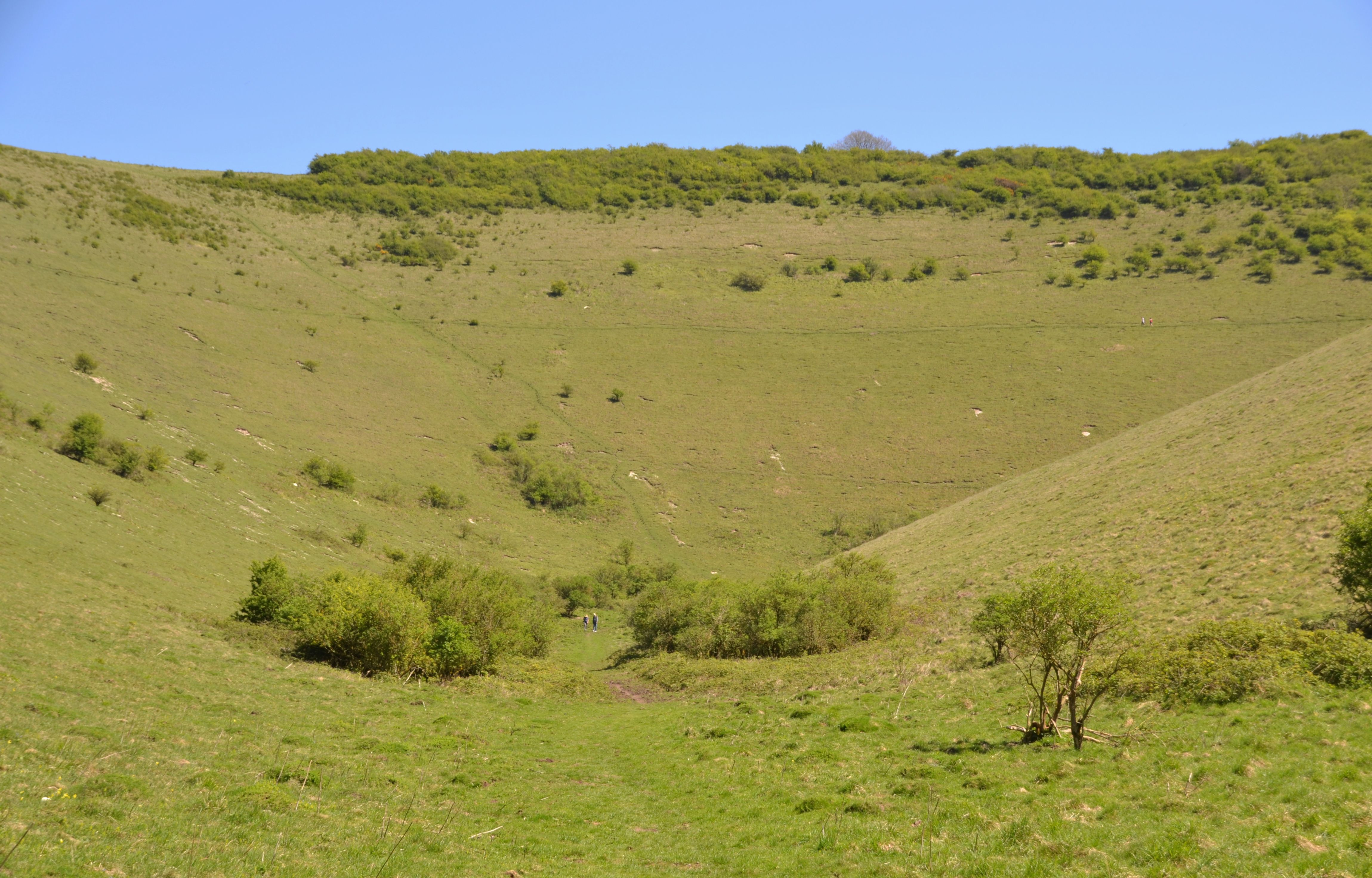 2018 Dukes of Burgundy at Noar Hill and Butser Hill, Hants & Sussex – 4 ...